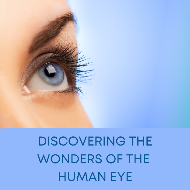 Discovering The Wonders of the Human Eye | Eyecare Associates of New ...